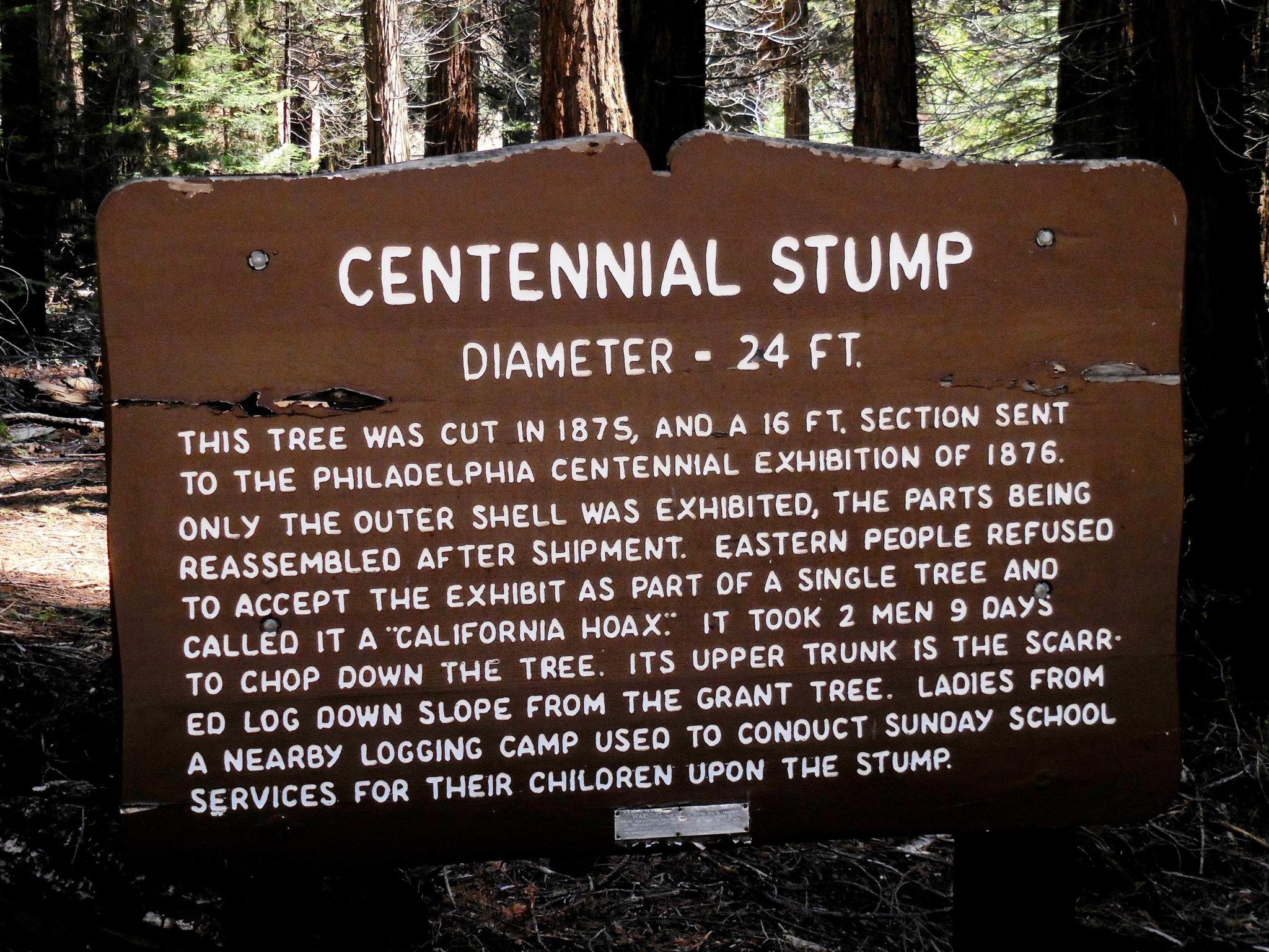 Centennial Stump | Yore Sequoia