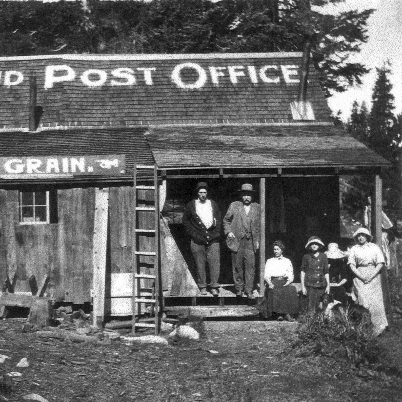 History | Yore Sequoia