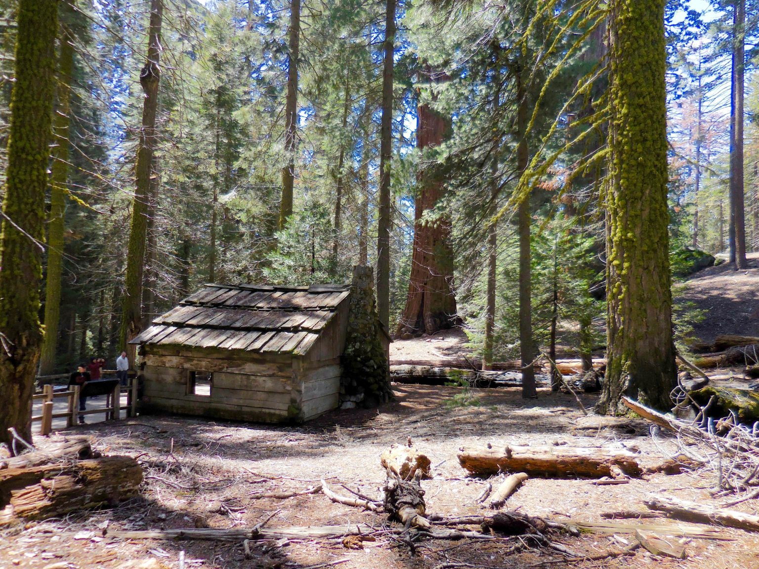 Gamlin Cabin | Yore Sequoia
