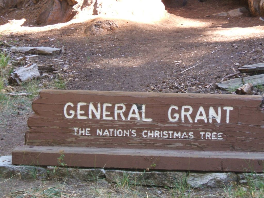 General Grant Tree Yore Sequoia general-grant-tree-yore-sequoia