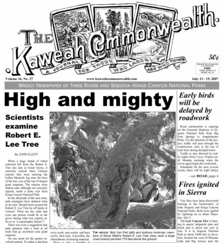 The Lee Trees - Yore Sequoia